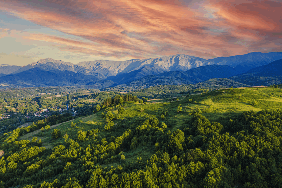 Голяма Богородица: Ден на вяра, традиции и благословия - Искра.бг Https://www.iskra.bg/wp ...